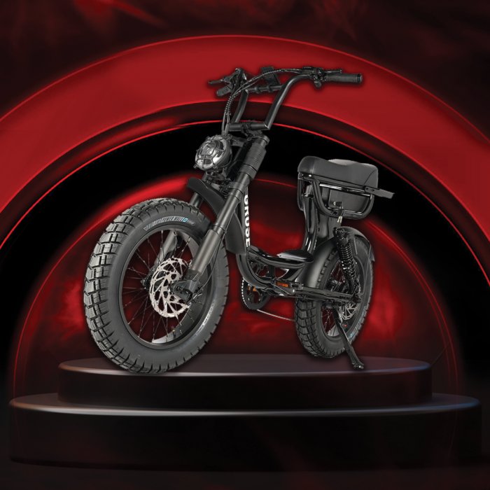 Win an E-Bike